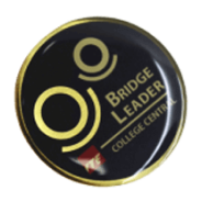 Custom Lapel Pins No minimum [ 20%off ] wholesale price