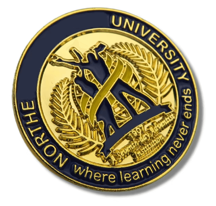 Custom School Pins | Vivipins