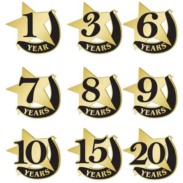 Custom Years Of Service Pins | Vivipins
