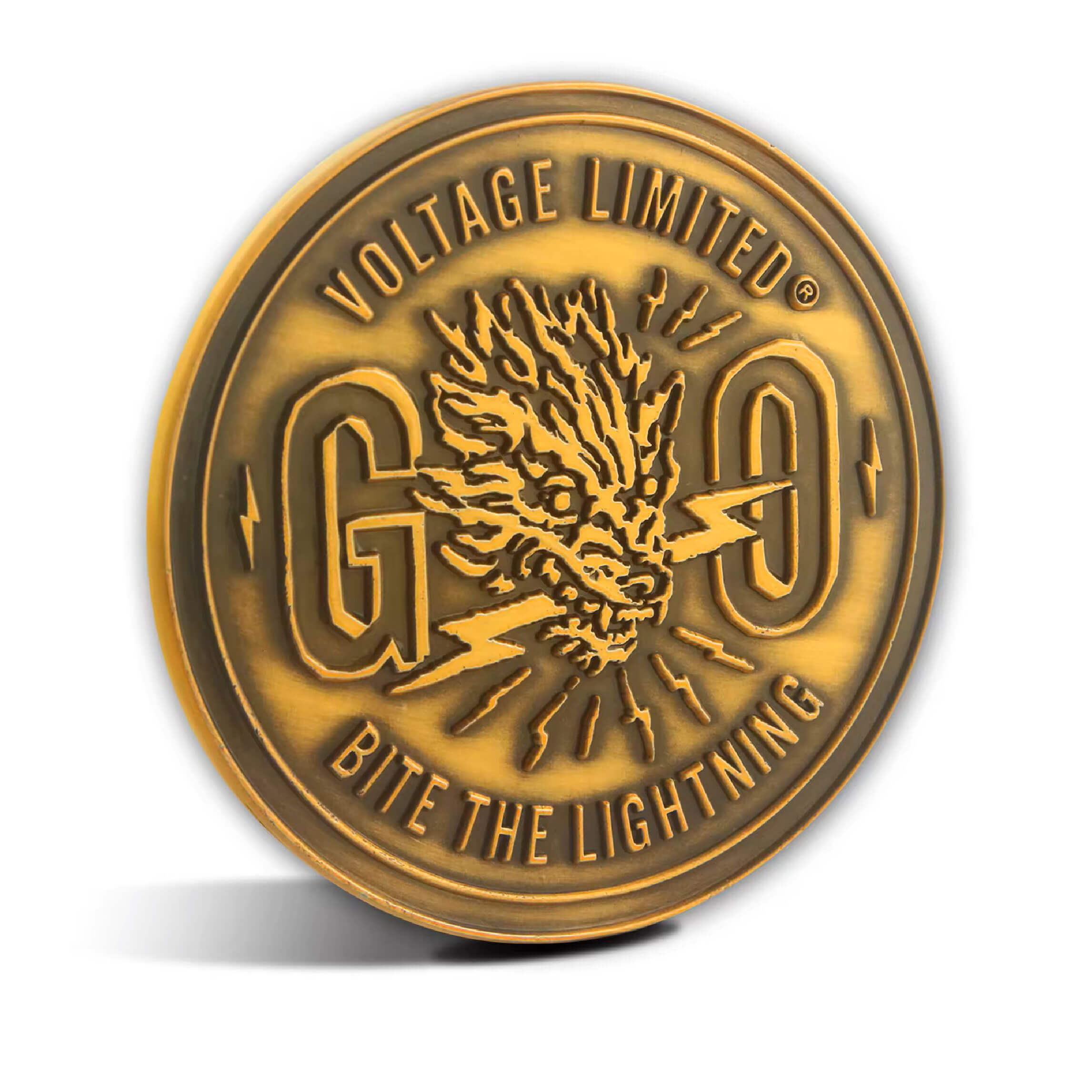 Custom Engraved Coins | Vivipins